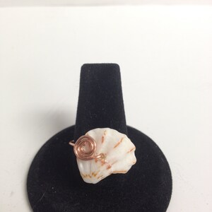 Double Kittens Paw Shell Ring Size 9.75 9 3/4 - Etsy