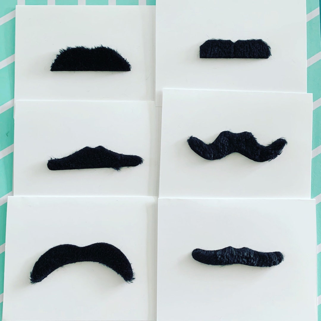 Fuzzy Mustache Blank Notecards 6ct - Etsy