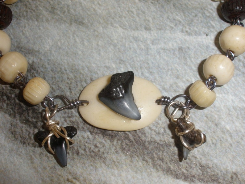 Shark Tooth and Bone Bracelet | Etsy