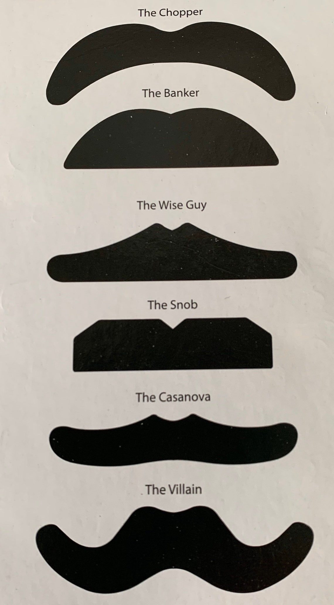 Fuzzy Mustache Blank Notecards 6ct | Etsy