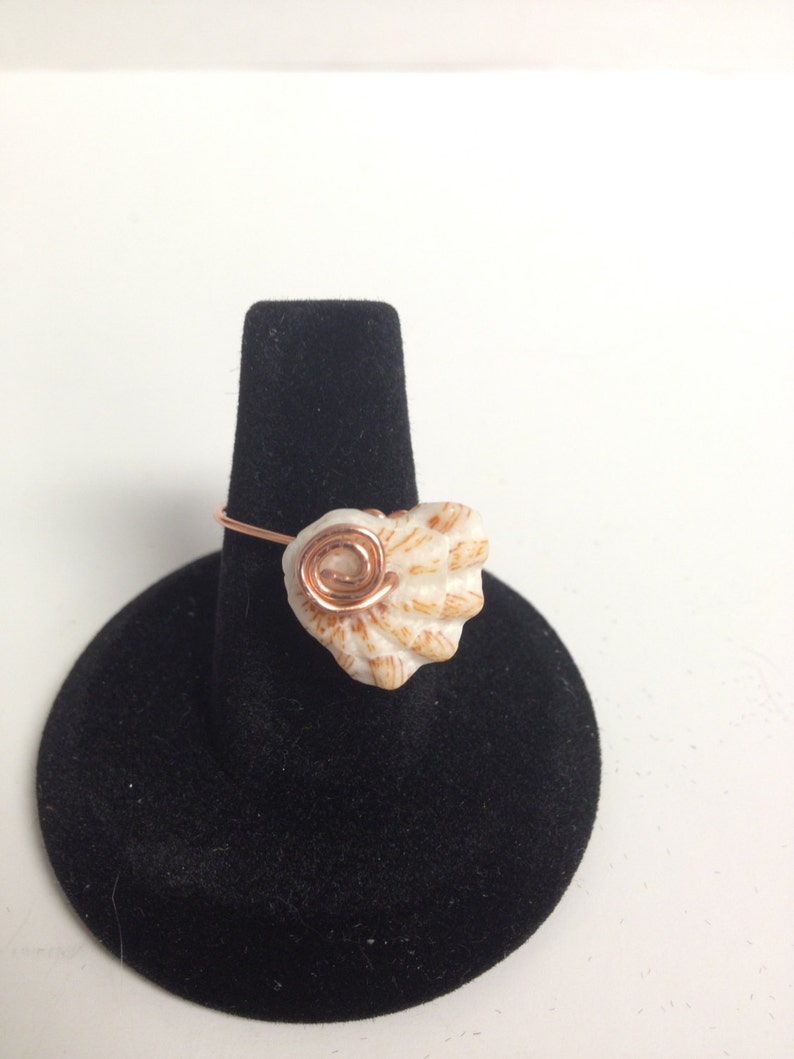 Double Kittens Paw Shell Ring Size 7.5 7 1/2 | Etsy