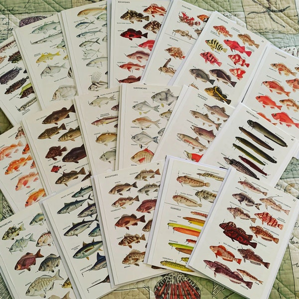 Fish Identification - Etsy