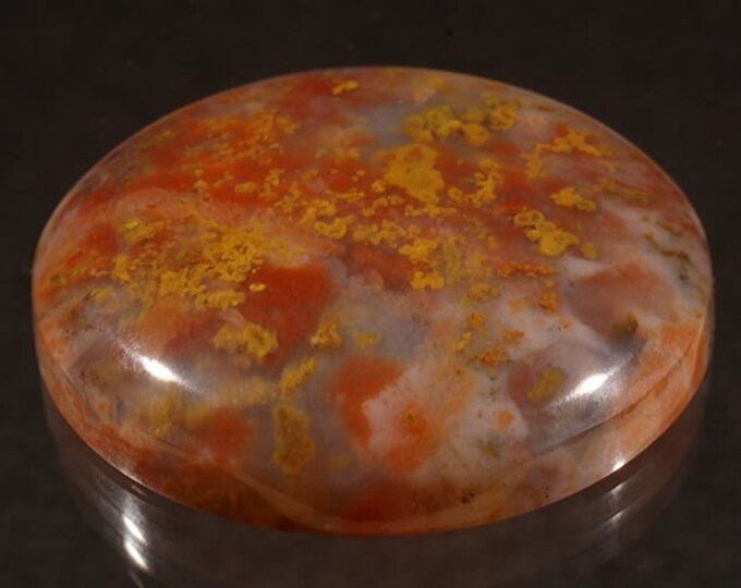 SALE Translucent Agatized Coprolite Cabochon, Handmade Cabochons by ...