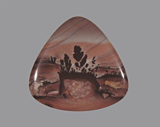 Reserved Apache Canyon Dendritic Rhyolite Cabochon, Designer Cabochons ...