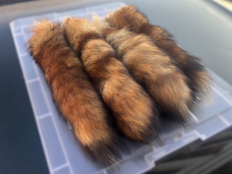 POSEABLE Premium Wild Red Fox Tail Keychain *READ DESCRIPTION* - Etsy