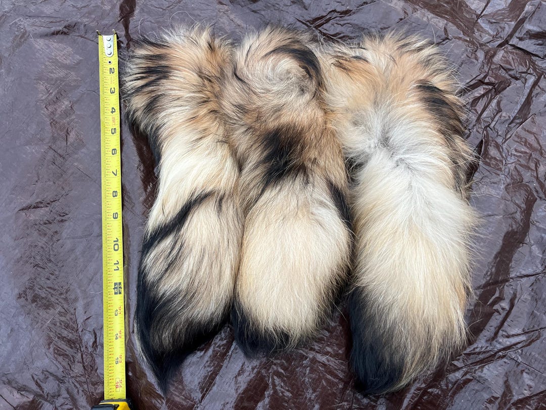 POSEABLE Premium Tanuki/raccoon Dog Tail Keychain *READ DESCRIPTION* - Etsy