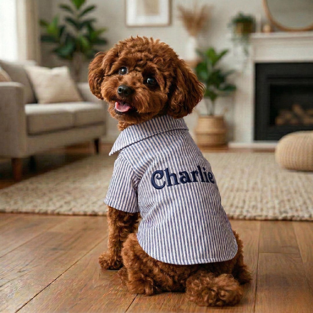 Custom Dog Shirt Blue Striped Cotton Personalized Name Embroidered Pet ...