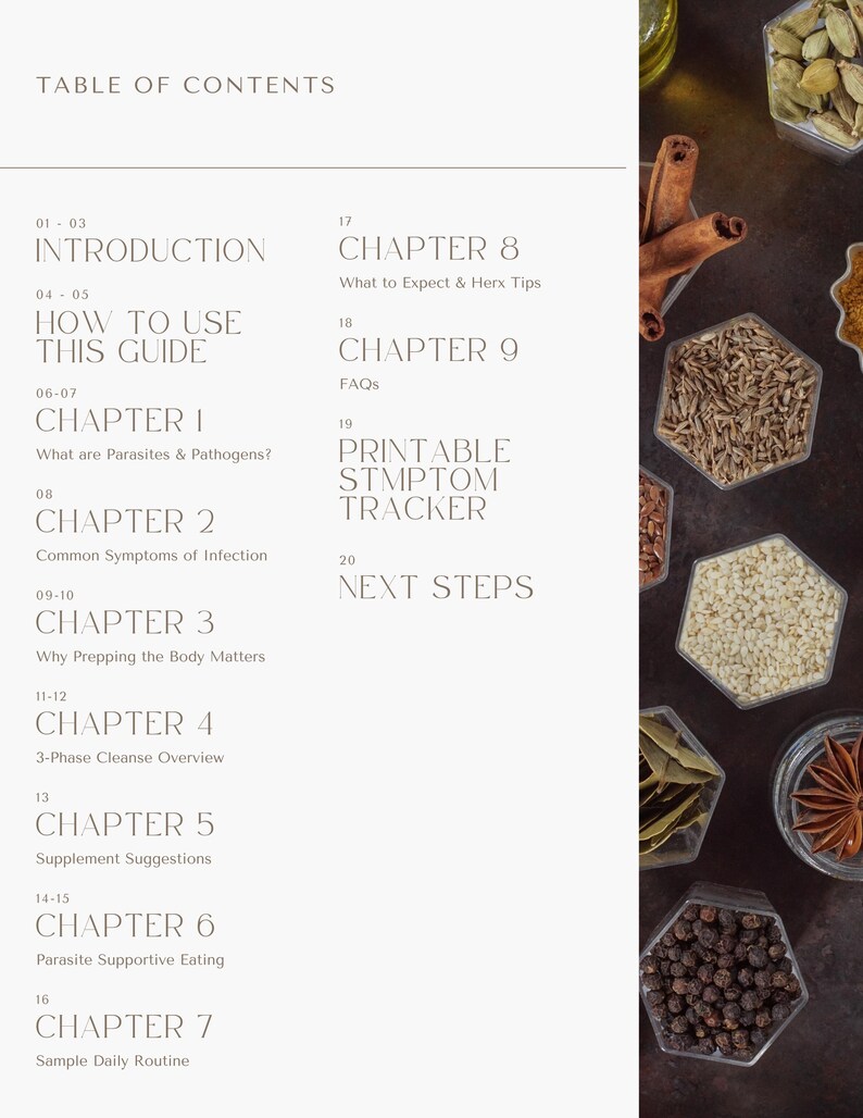 Beginner-friendly Parasite & Pathogen Cleanse Protocol - Etsy