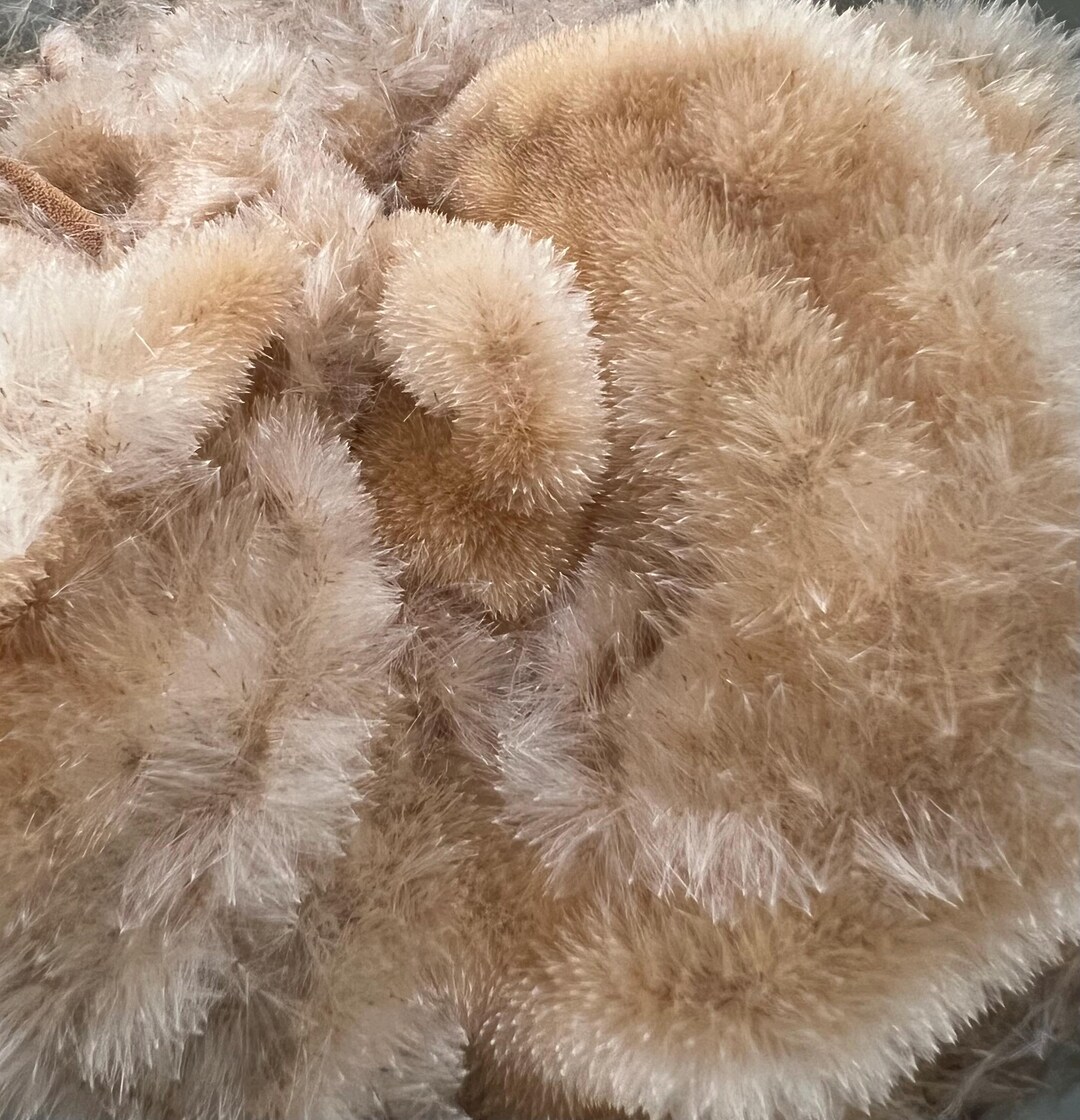 Wild Cattail Fluff, Foraged, Sample Size, Approx 14.5 Grams of Fiber - Etsy