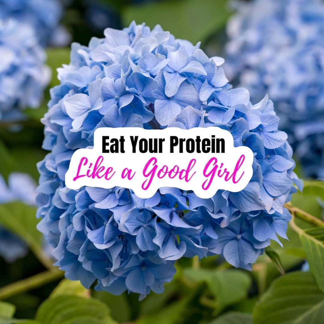 Dark Romance Water Bottle Sticker/ Eat Your Protein Like a Good Girl - Etsy