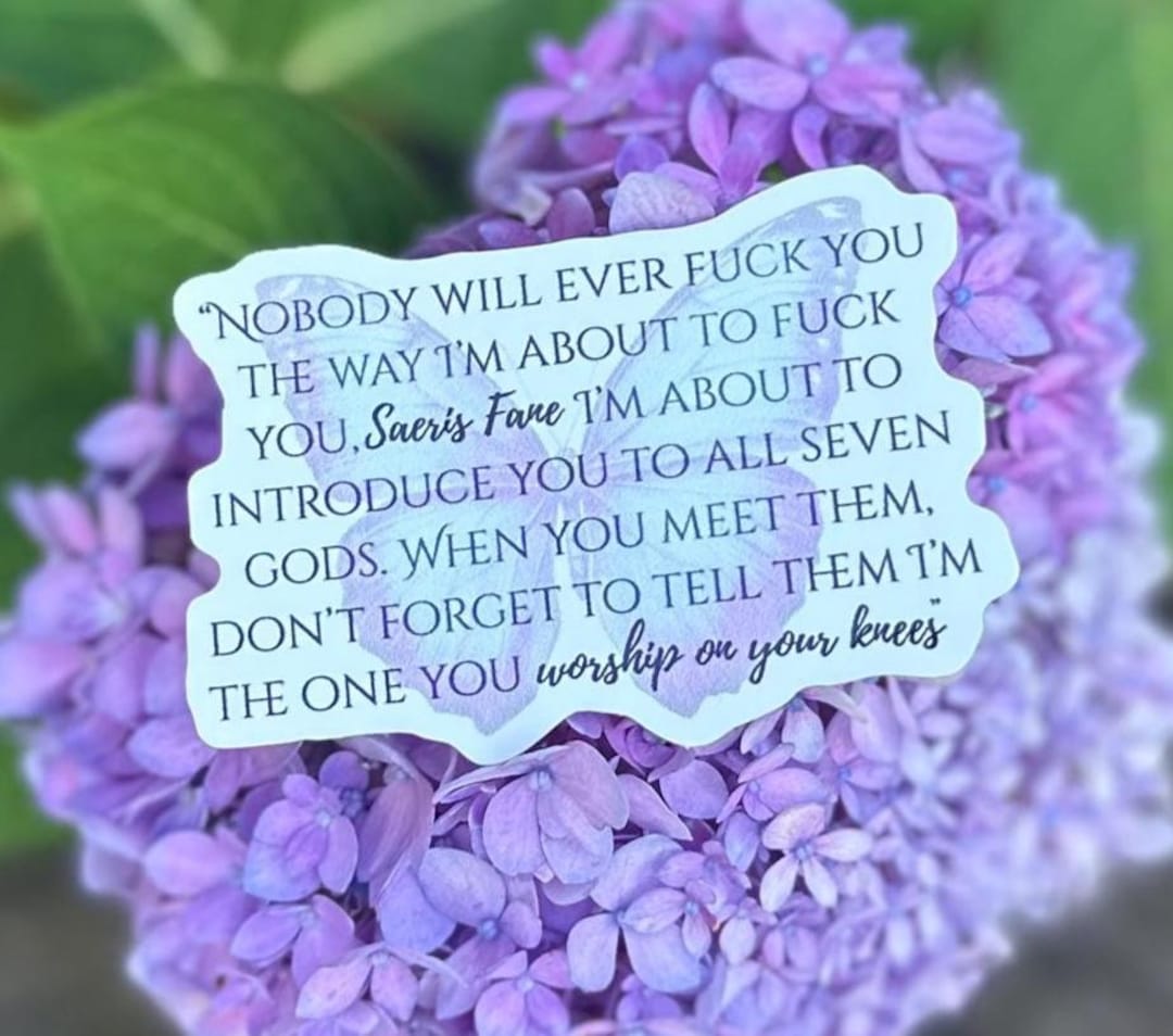 Quicksilver Spicy Quote Sticker | Dark Romance Book Merch - Etsy