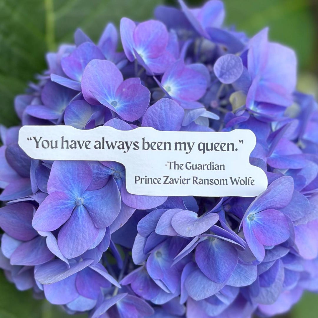 Shield of Sparrows Vinyl Sticker|you Have Always Been My Queen|the ...