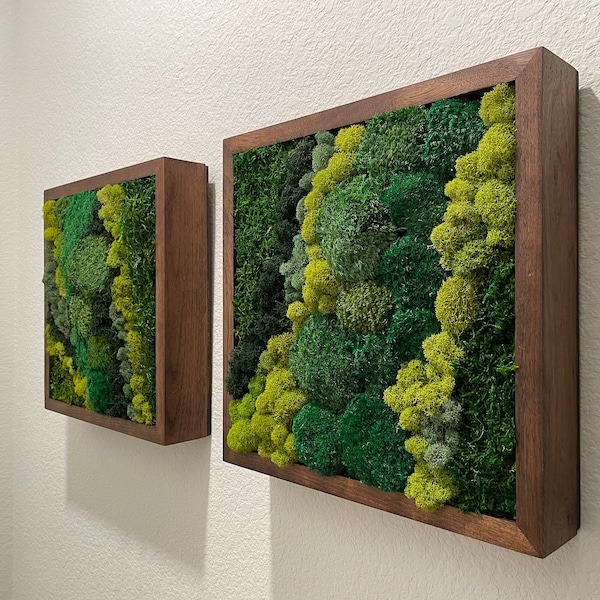 Preserved Moss Wall Art - Etsy