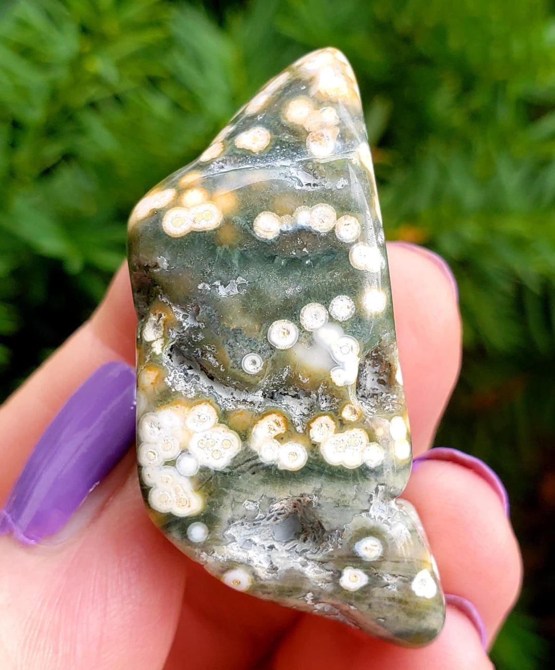 Ocean Jasper Tumble | Old Stock Polished Jasper | Green & Cream Orb ...