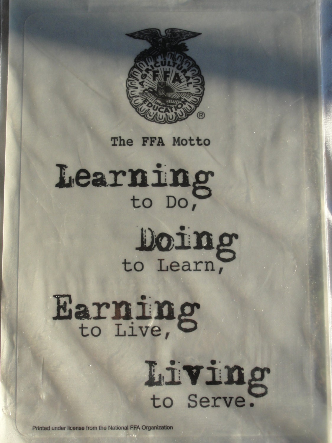 Ffa Motto