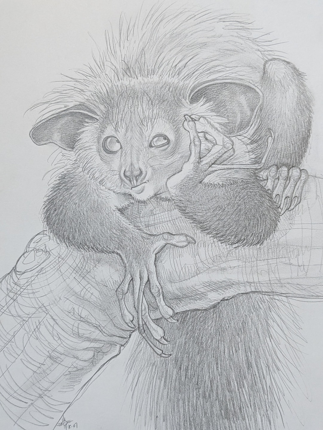 Annoyed Aye-aye Original Graphite Drawing - Etsy