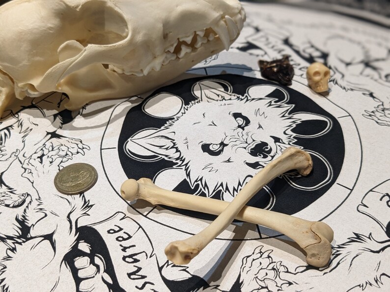 Divination Werewolf Bandana / Divination Cloth / Altar Cloth / Face ...