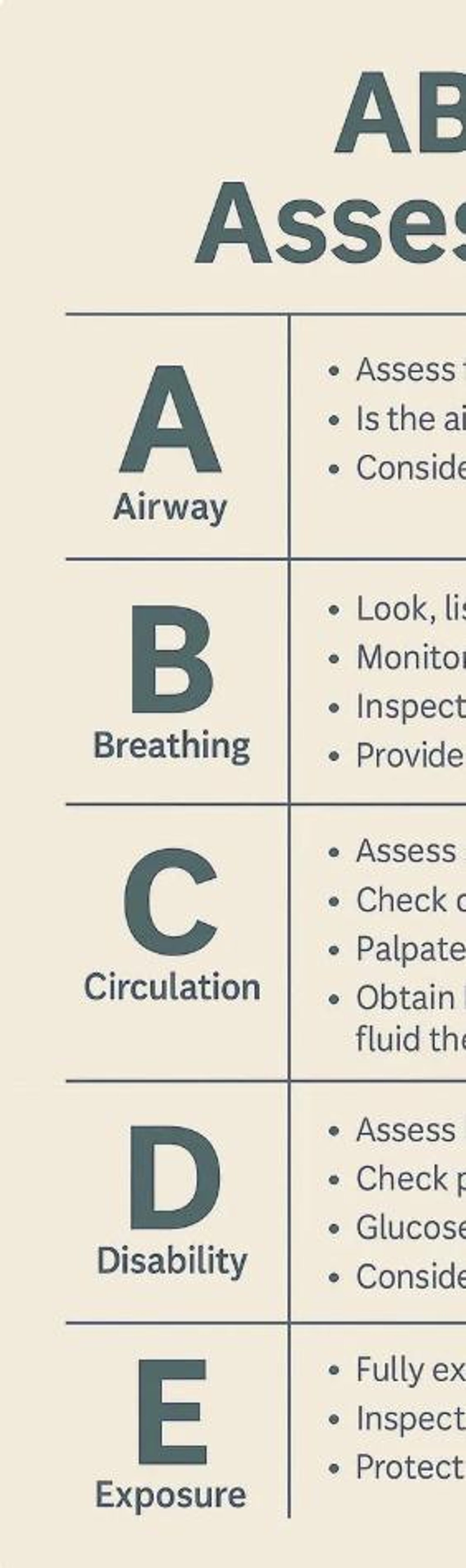 ABCDE Assessment Poster: Nursing Student Guide (printable & Digital) - Etsy