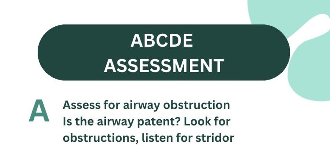 Trauma ABCDE Assessment Cheat Sheet: Emergency Nursing Quick Reference ...
