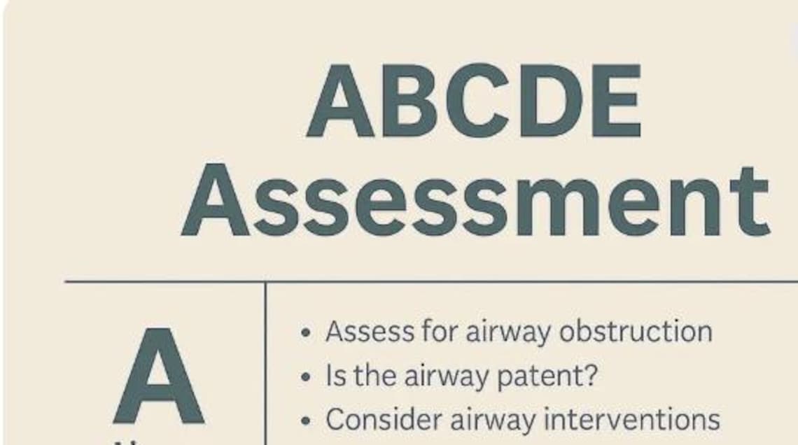 ABCDE Assessment Poster: Nursing Student Guide (printable & Digital) - Etsy
