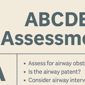ABCDE Assessment Poster: Nursing Student Guide (printable & Digital) - Etsy