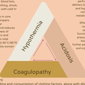 Trauma Triad of Death – Medical Digital Print - Etsy