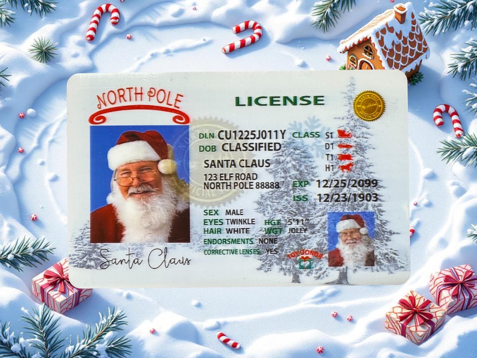 Physical Item - Santa's Drivers License | Christmas Gift | Santa Claus ...