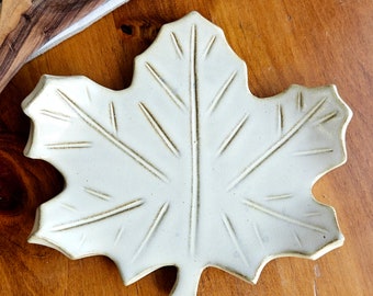 Mini Sea Shell Mystery Box - Etsy