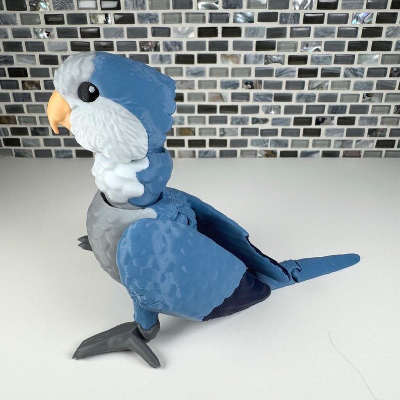 Quaker Parrot Figurine, 3D Printed Monk Parakeet, Poseable Bird, Fidget ...