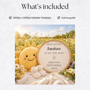 Little Sunshine Pregnancy Announcement Template, Summer Meadow Editable ...