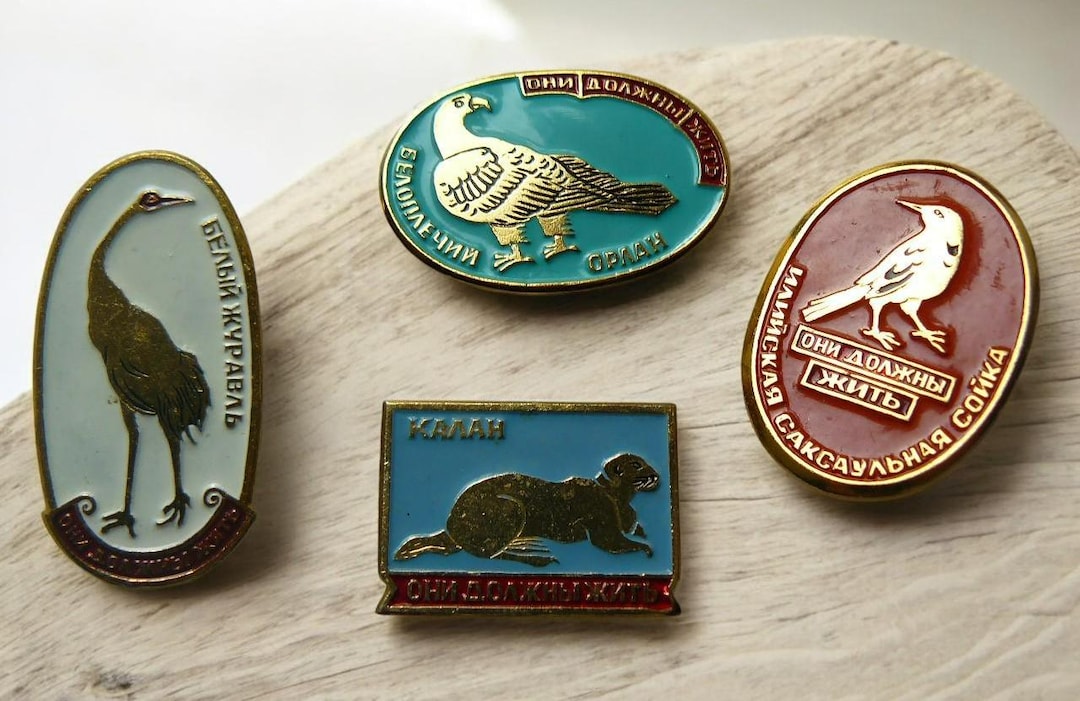 USSR. Vintage USSR Badges. Animals Listed in the Red Book. - Etsy