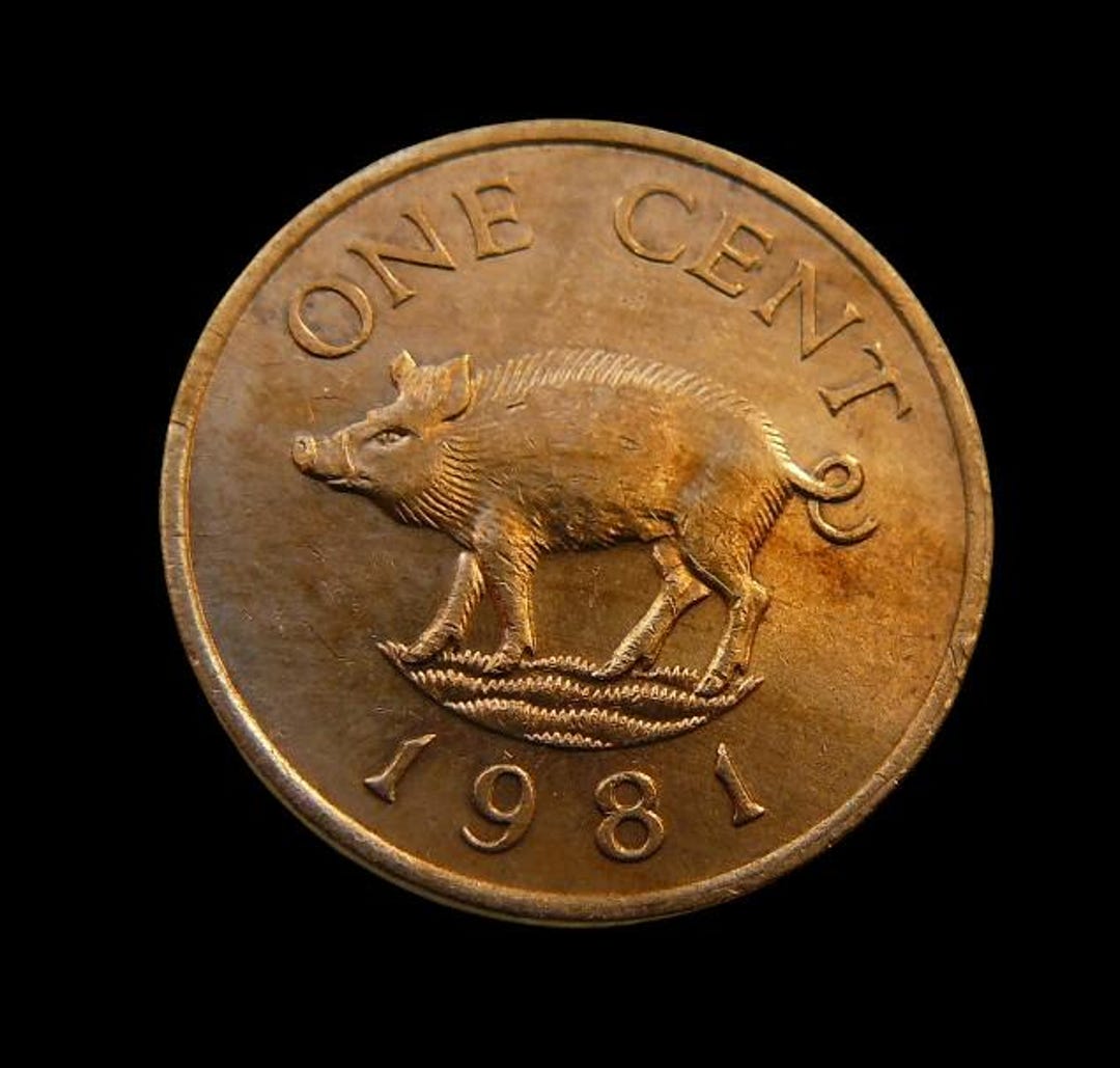 Coin Bermuda 1 Cent, 1970 - 1985 Pig - Etsy