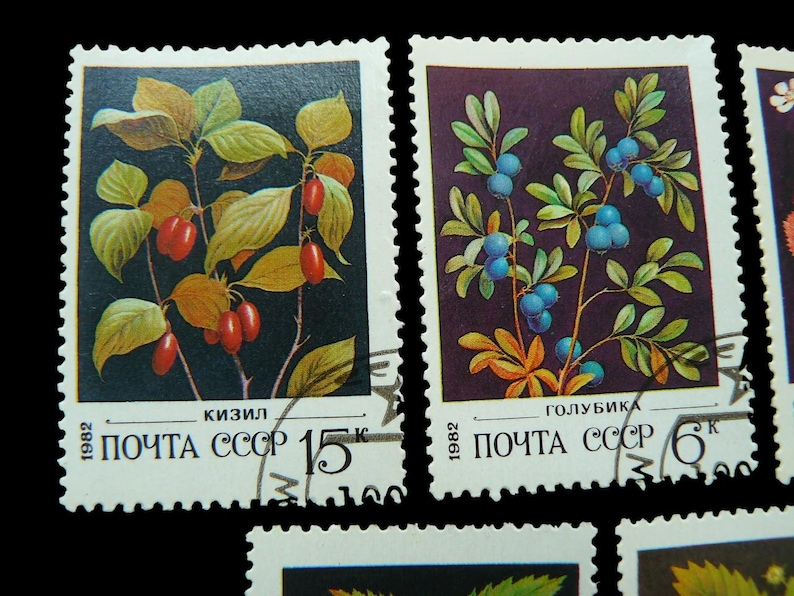 Postage Stamps. Soviet Wild Berries. Vintage Stamps of the USSR 1982 ...