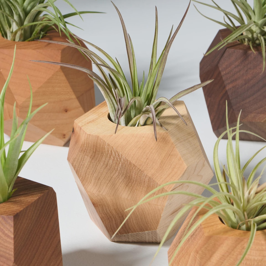 Set of 4 Geometric Wooden Wall Planters Set, Handcrafted Faceted Air ...