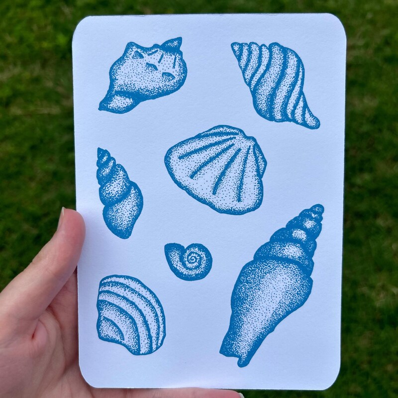 Seashell Art Print - Etsy