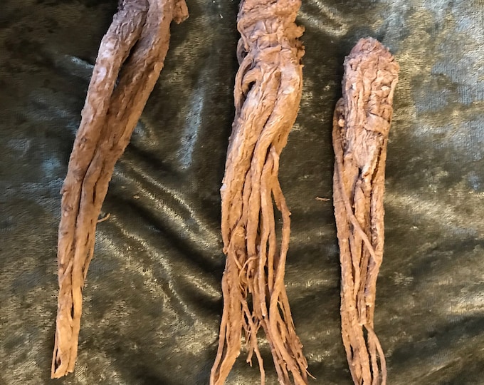 Master Root - A Hoodoo Root That is the Master of Them All (this is NOT ...