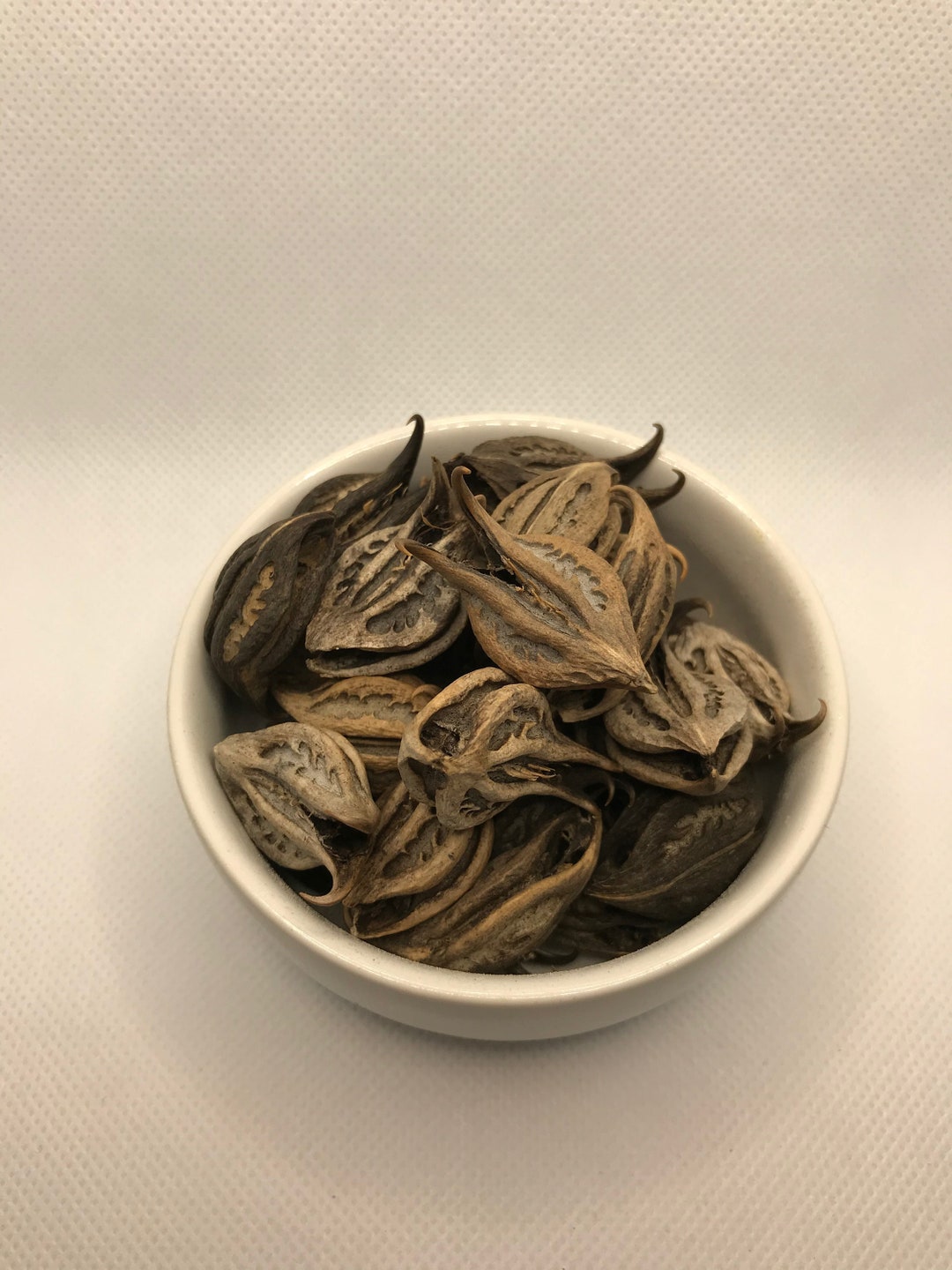 Bat's Head Root - A Classic in Hoodoo and Folklore of Mexico, an Occult ...