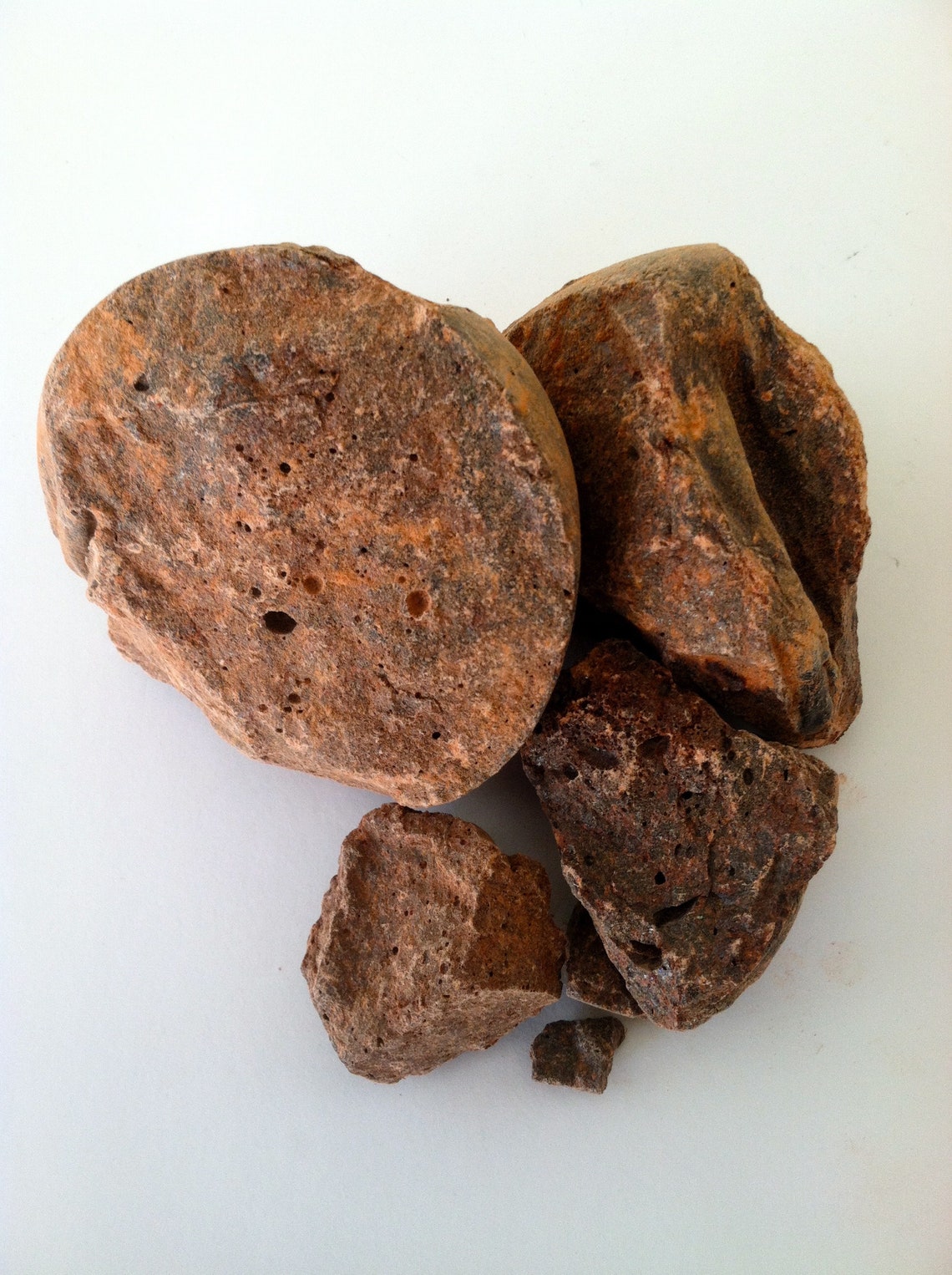 Dragons Blood Resin - Daemonorops Draco - (gold Seal) - for Incense ...