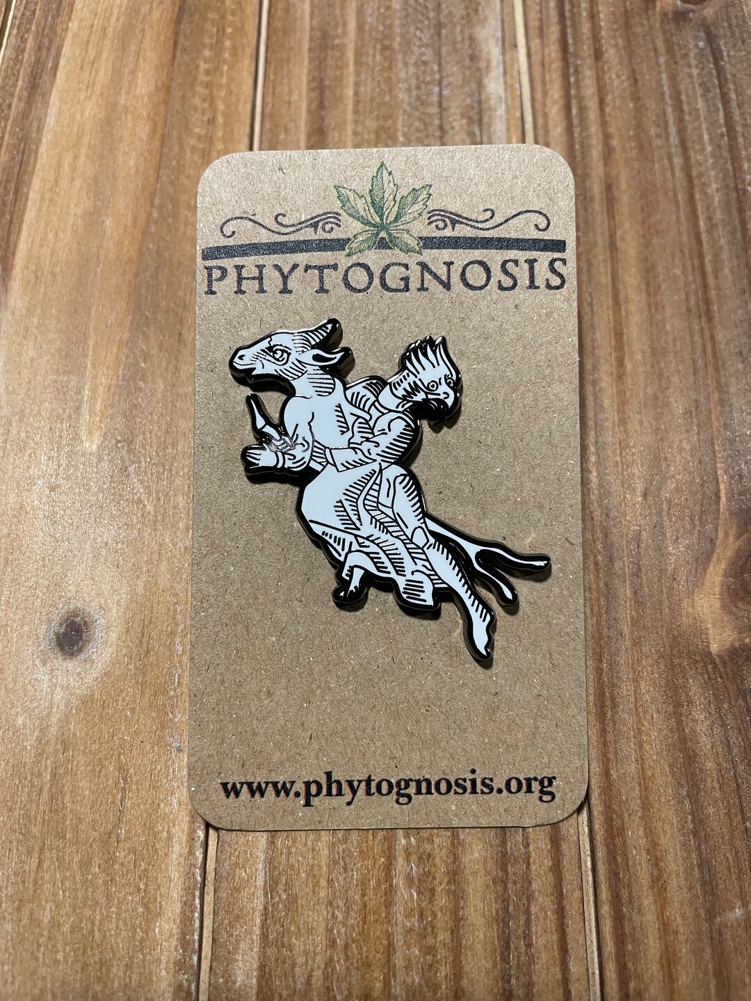 Hard Enamel Pin - Shapeshifting Witches on the Way to the Witches ...