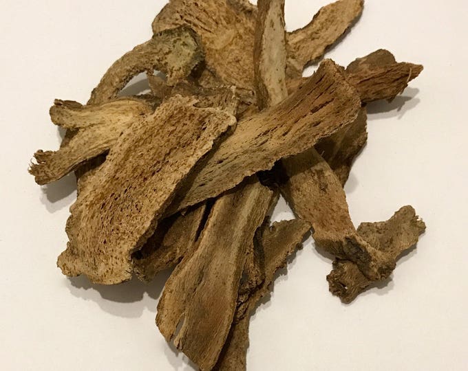 Costus Root (saussurea Lappa) - an Herb of Bringing-back or Restoring ...
