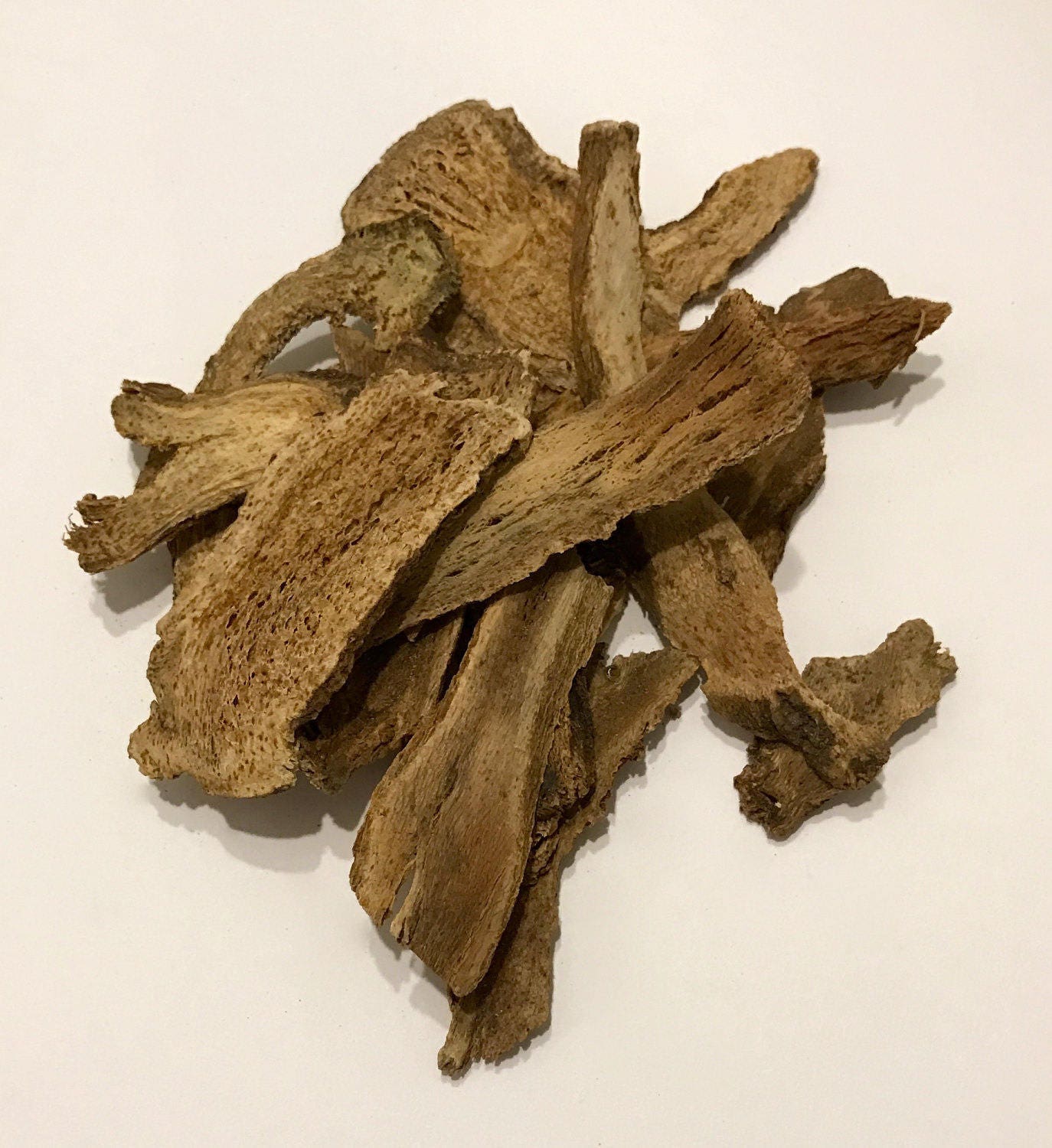 Costus Root saussurea Lappa an Herb of Bringing-back or - Etsy Australia