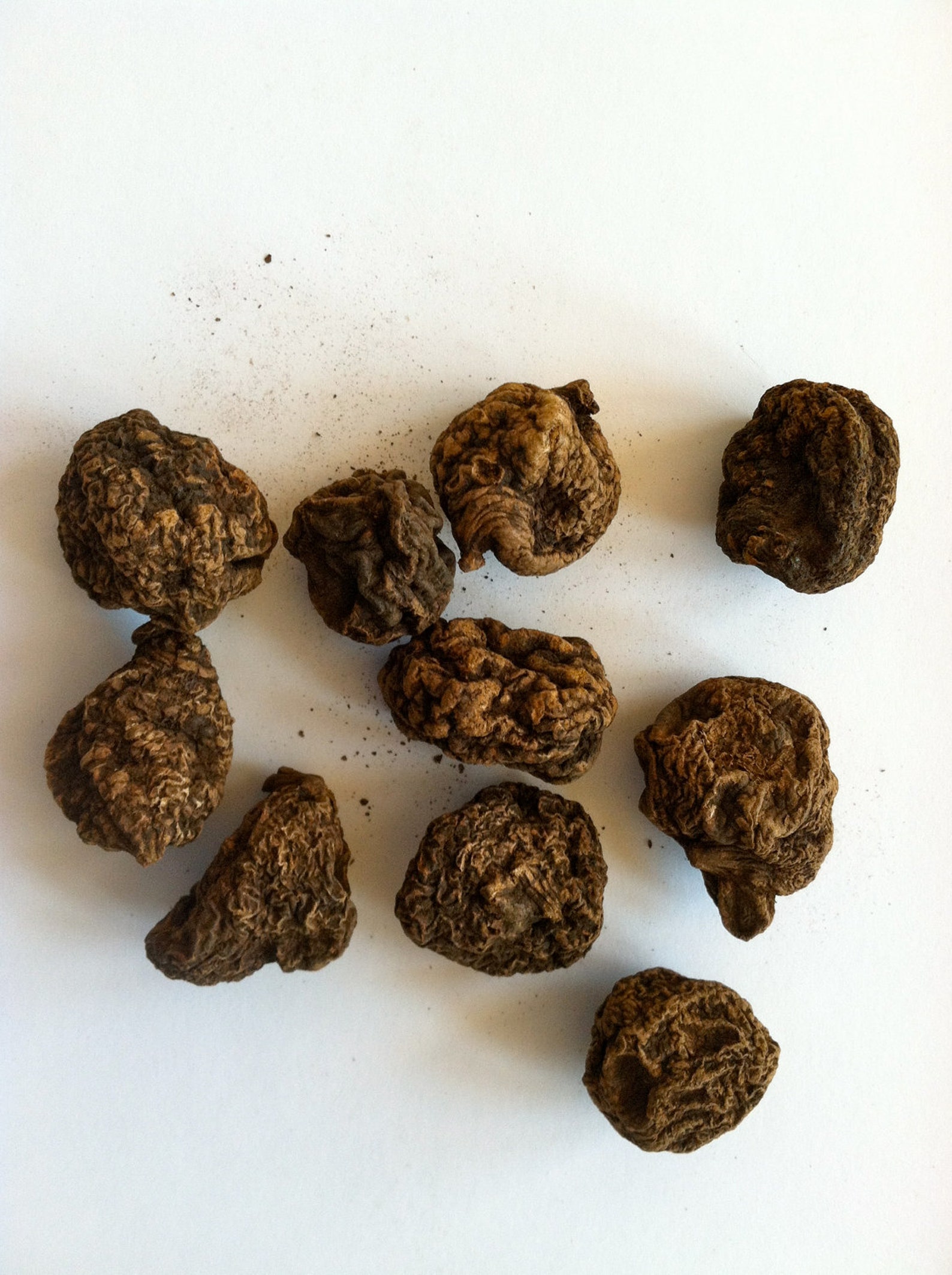 High John Root - Etsy