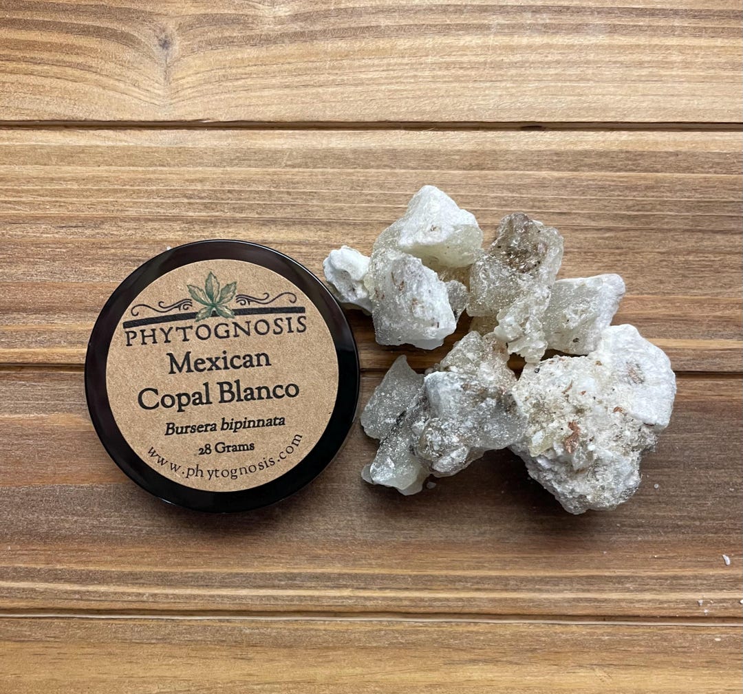 Copal Blanco Resin (bursera Bipinnata) - Authentic Mexican Copal Used ...