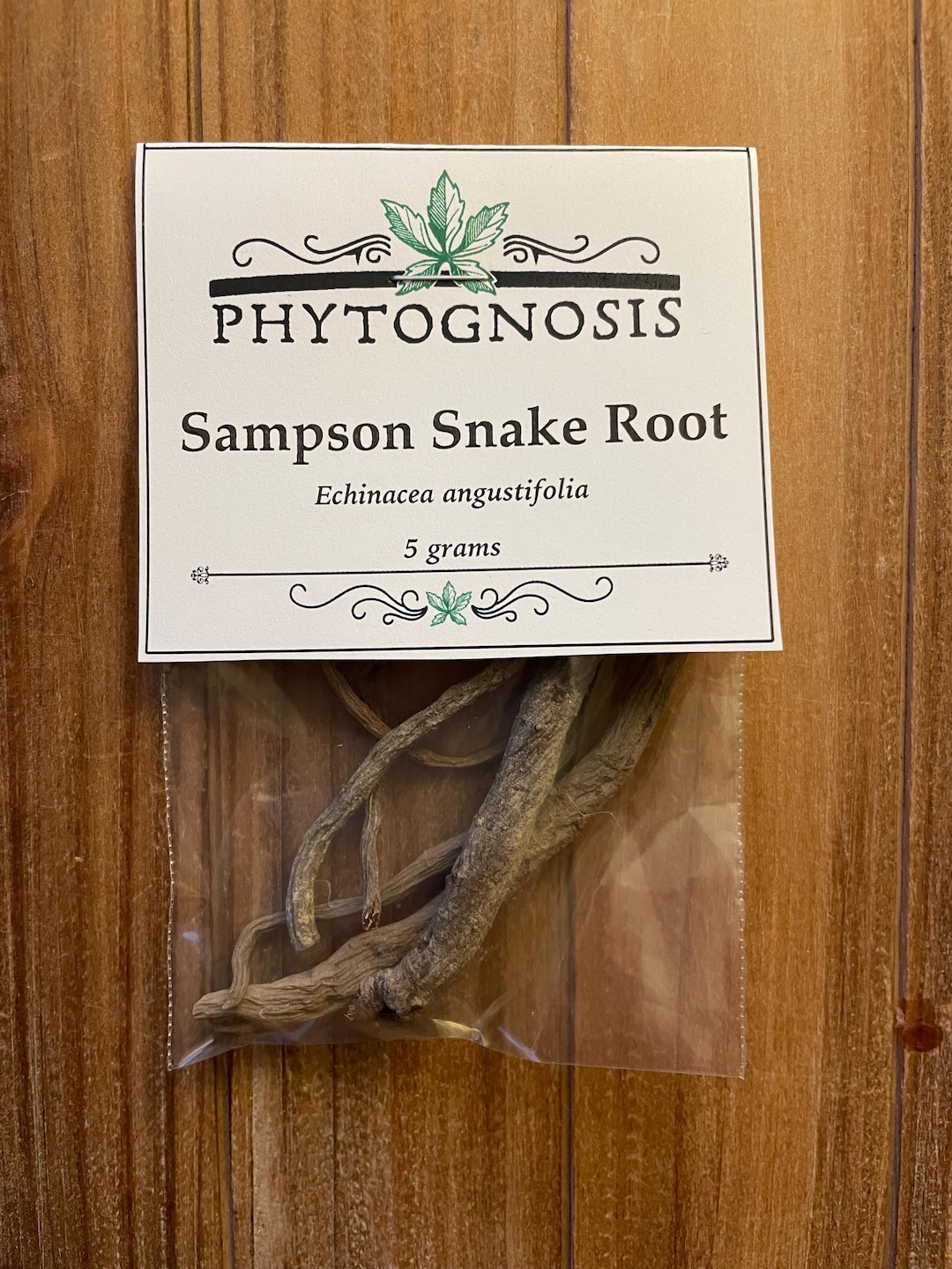 Sampson Snake Root (echinacea Angustifolia) - a Conjure and Hoodoo Herb ...