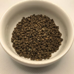Ambrette Seed (abelmoschus Moschatus) - Vegan Musk, Incense, Magick ...