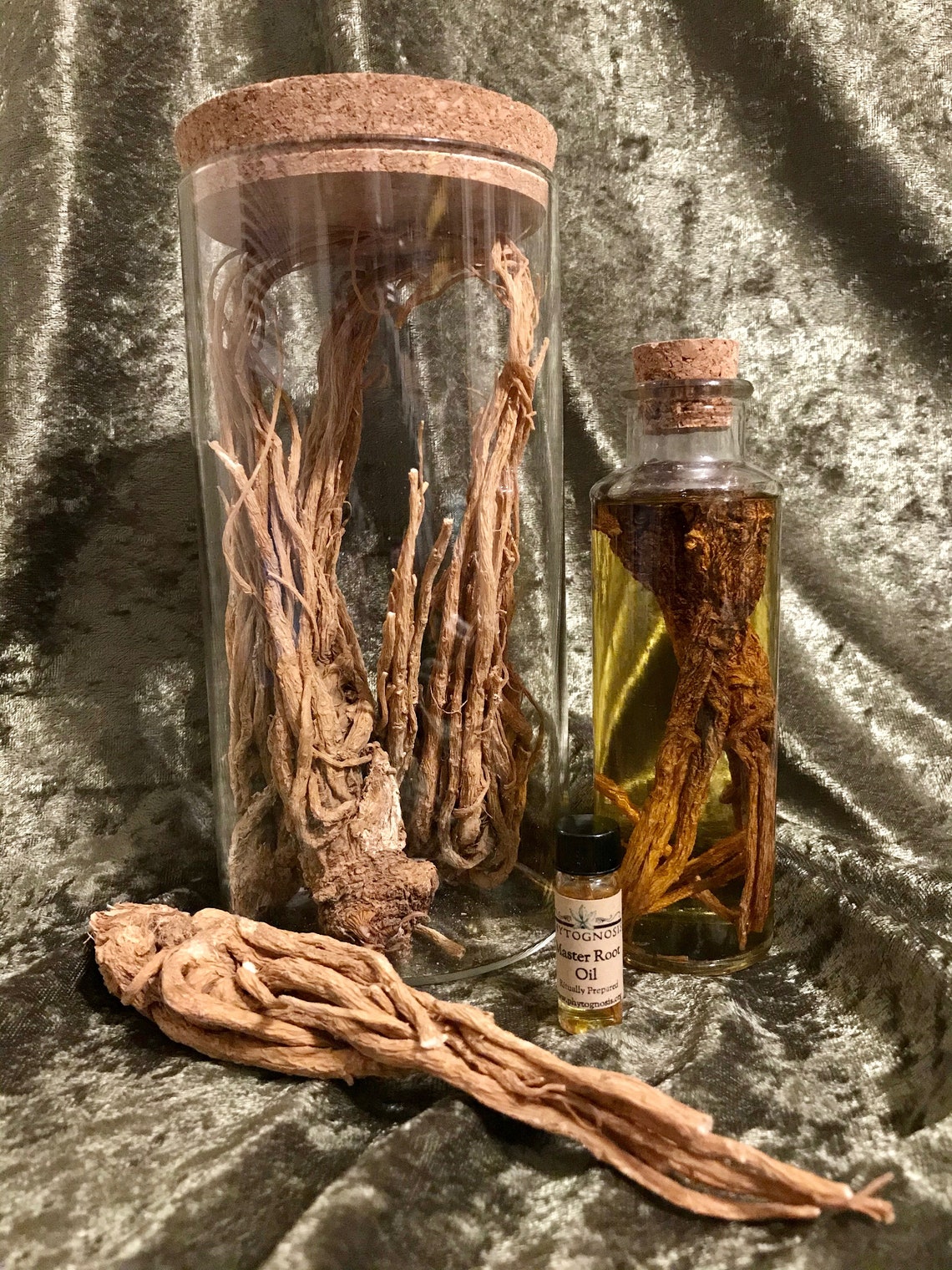 Master Root A Hoodoo Root That is the Master of Them All - Etsy