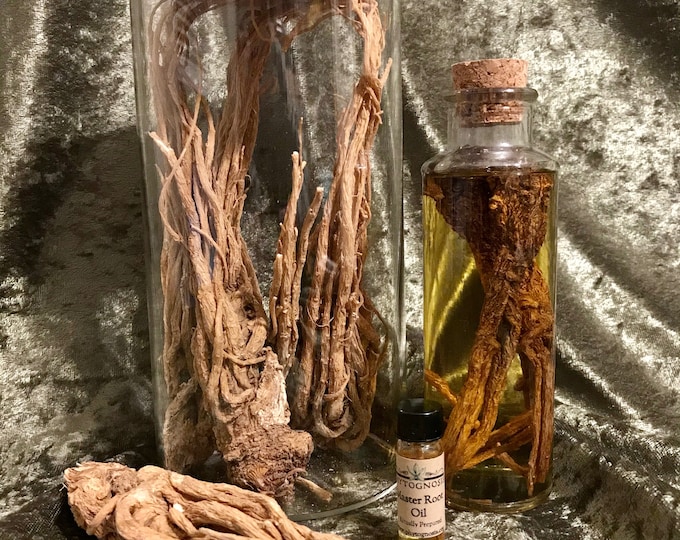 Master Root A Hoodoo Root That is the Master of Them All - Etsy