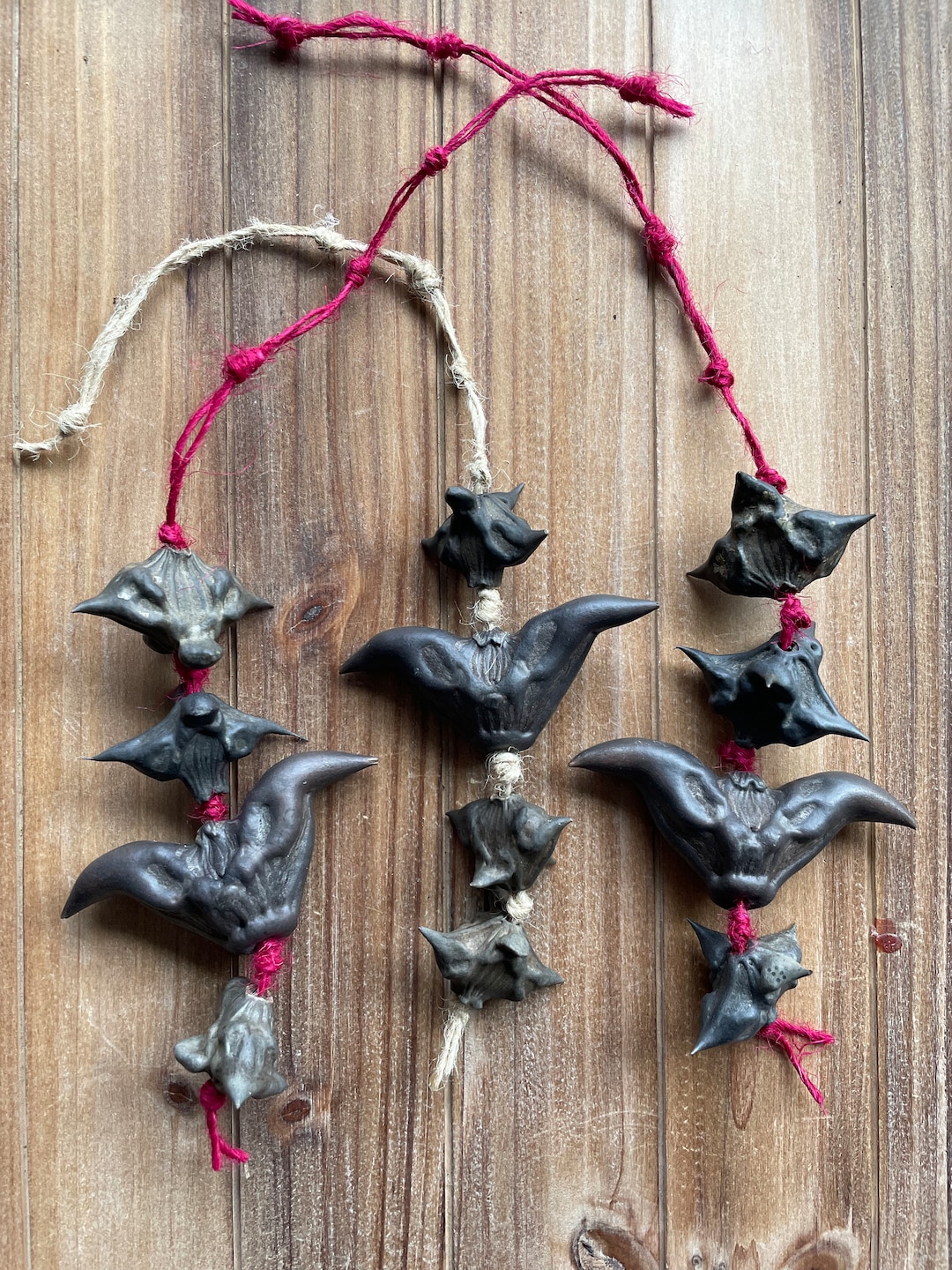 Apotropaic Charm Created From Devil's Head Pod and Devil's Backbone - Etsy