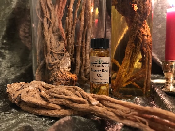 Master Root Oil A Hoodoo Traditional Oil for Mastery Over - Etsy