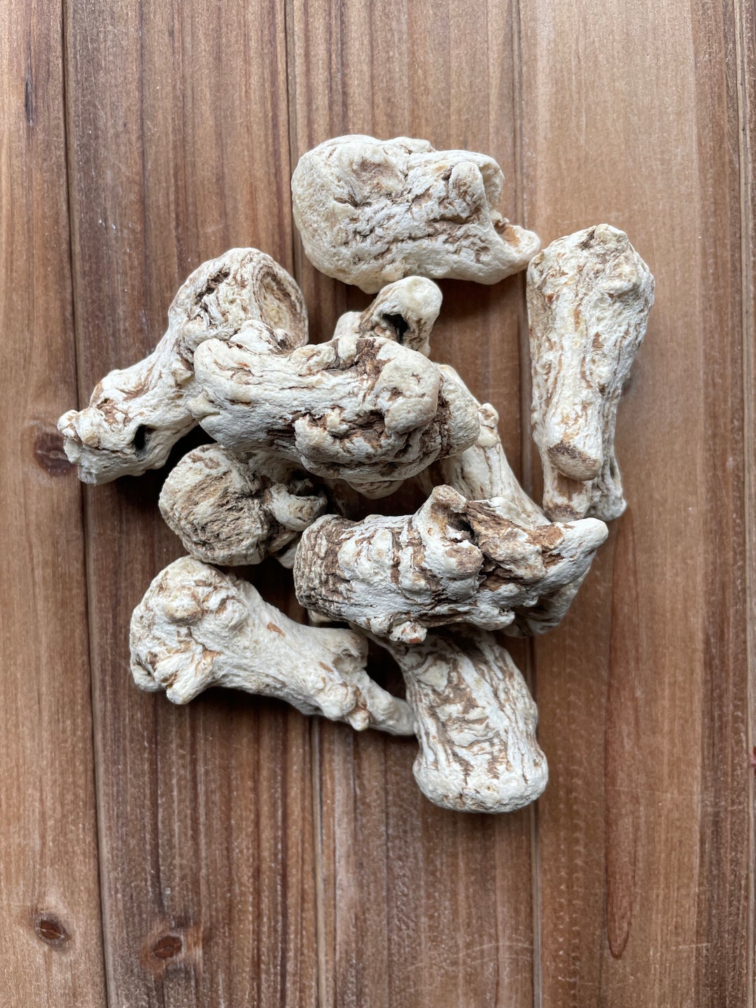 Whole Angelica Root (angelica Sinensis) - Used in Wicca, Hoodoo, and ...